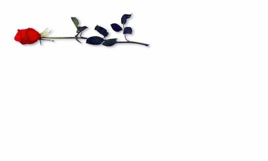 Simbolul primaverii-Martisorul-Istoria martisorului,Simbolul florilor ... Simbolul primaverii-Martisorul-Istoria martisorului,Simbolul florilor ...
